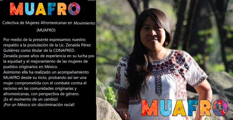 Zenaida Pérez: la mujer indígena que podría quedar al frente del ...
