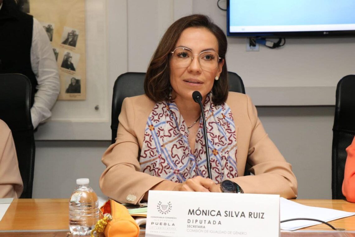 Mónica Silva logra aprobación de dictamen de la Ley Monzón