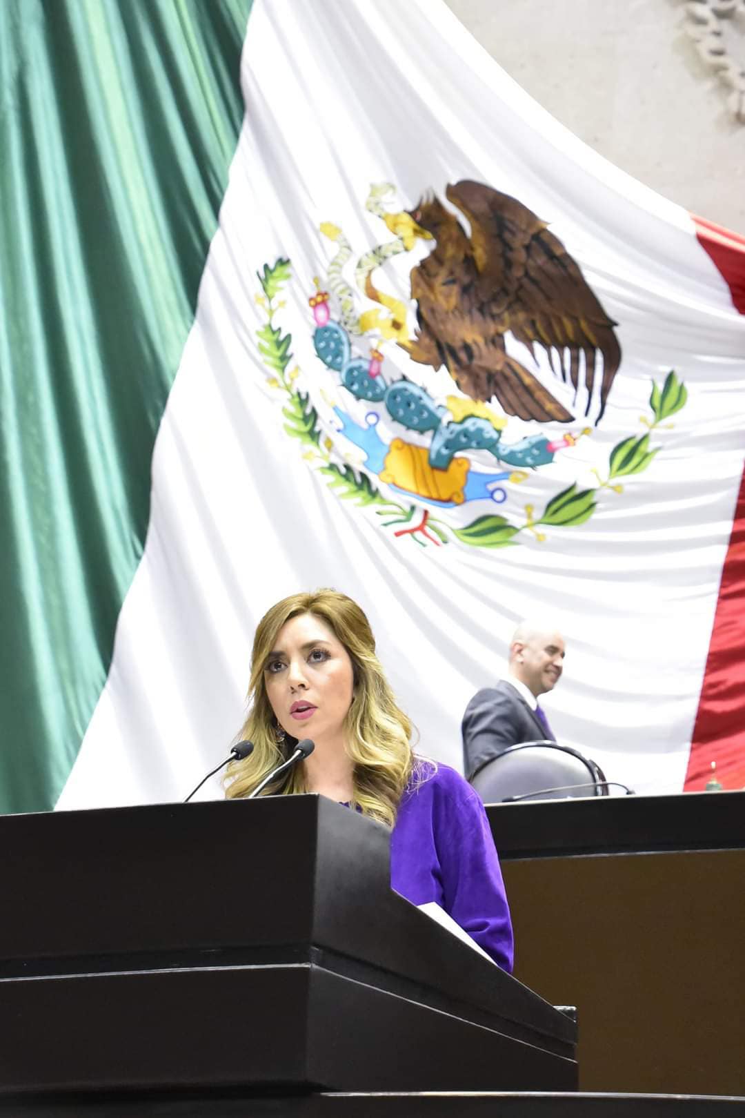 Dulce Silva alza la voz para sancionar la violencia vicaria