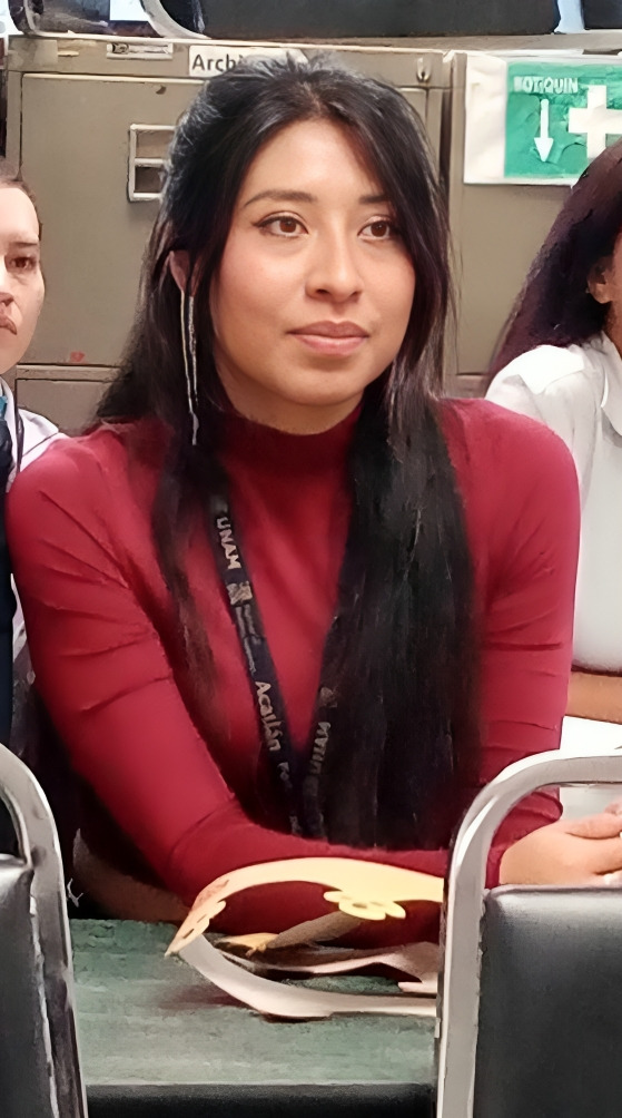 Cronología del feminicidio de Ana Febe Rojas; esto pasó